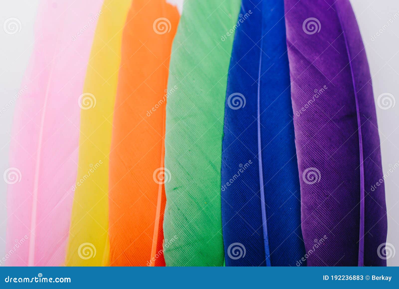 Studio Shot Photo Colored Bird Feathers As Texture Background Stock ...