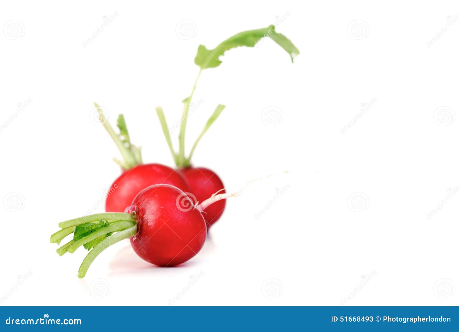 Studio Shot of Raddish on White Background Stock Image - Image of large ...