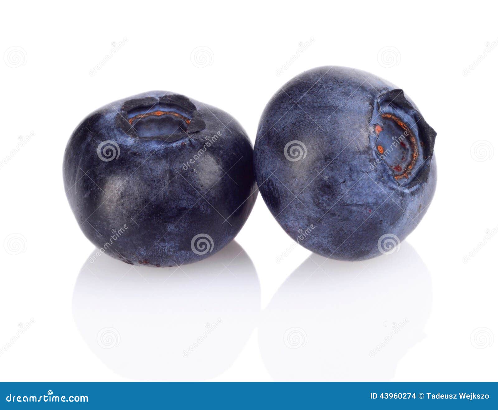 Studio Shot of Two Fresh Blueberries Isolated White Stock Photo - Image ...