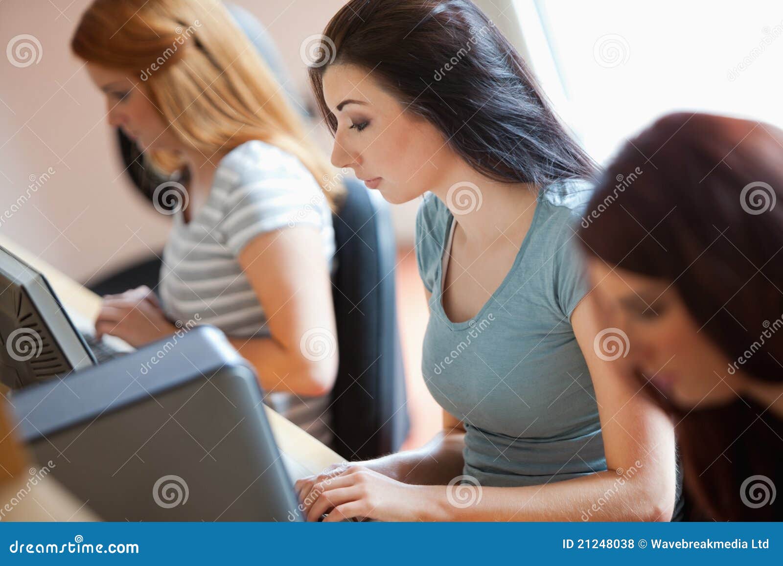 Studious Young Women Working with Computers Stock Photo - Image of ...