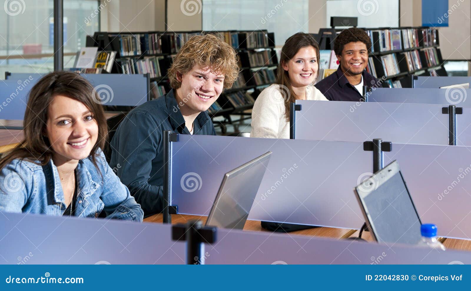 Studiying in cubicles stock photo. Image of caucasian - 22042830
