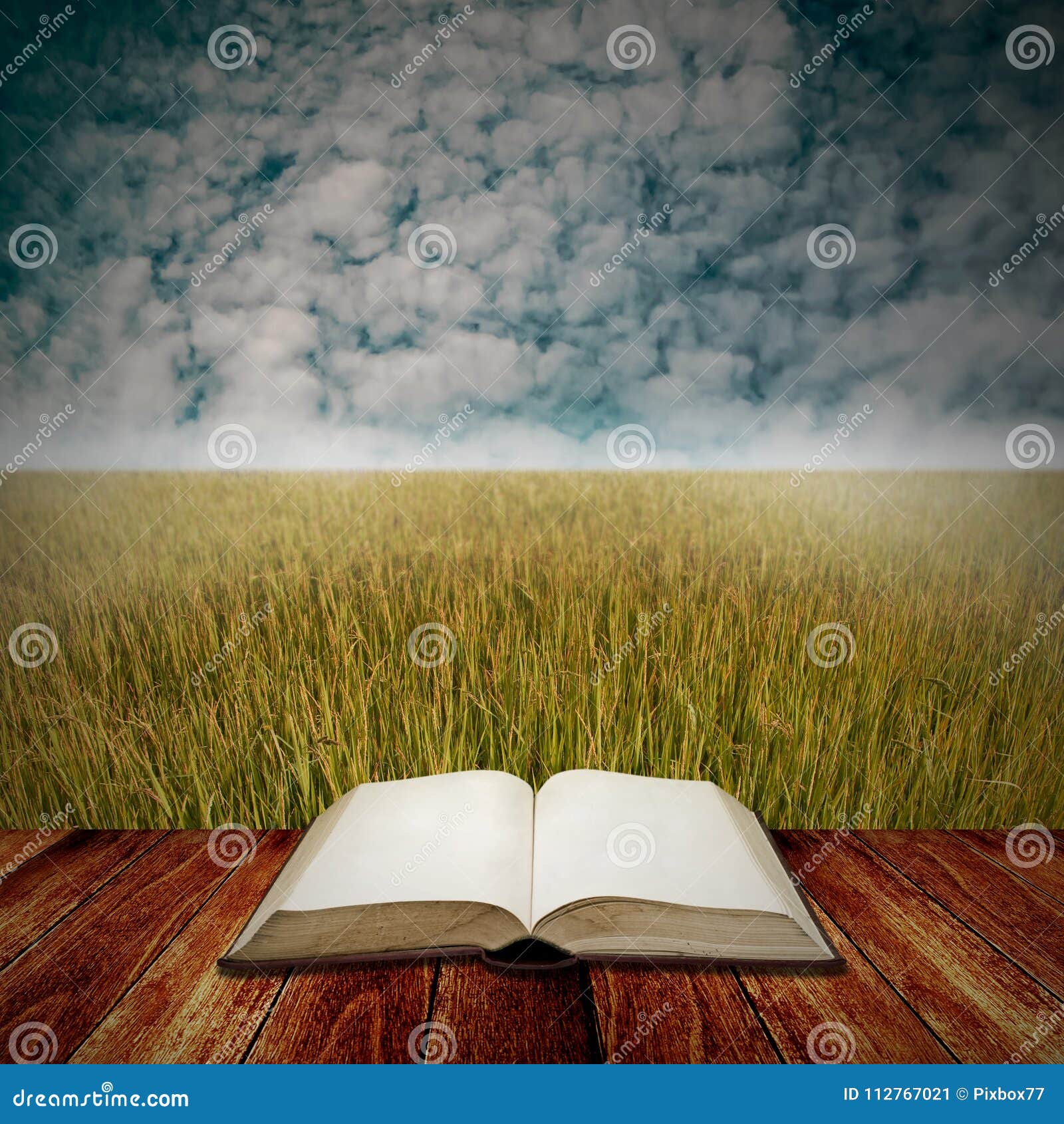 Study with Agriculture, Book on Deck with Rice Field Backgr Stock Image ...