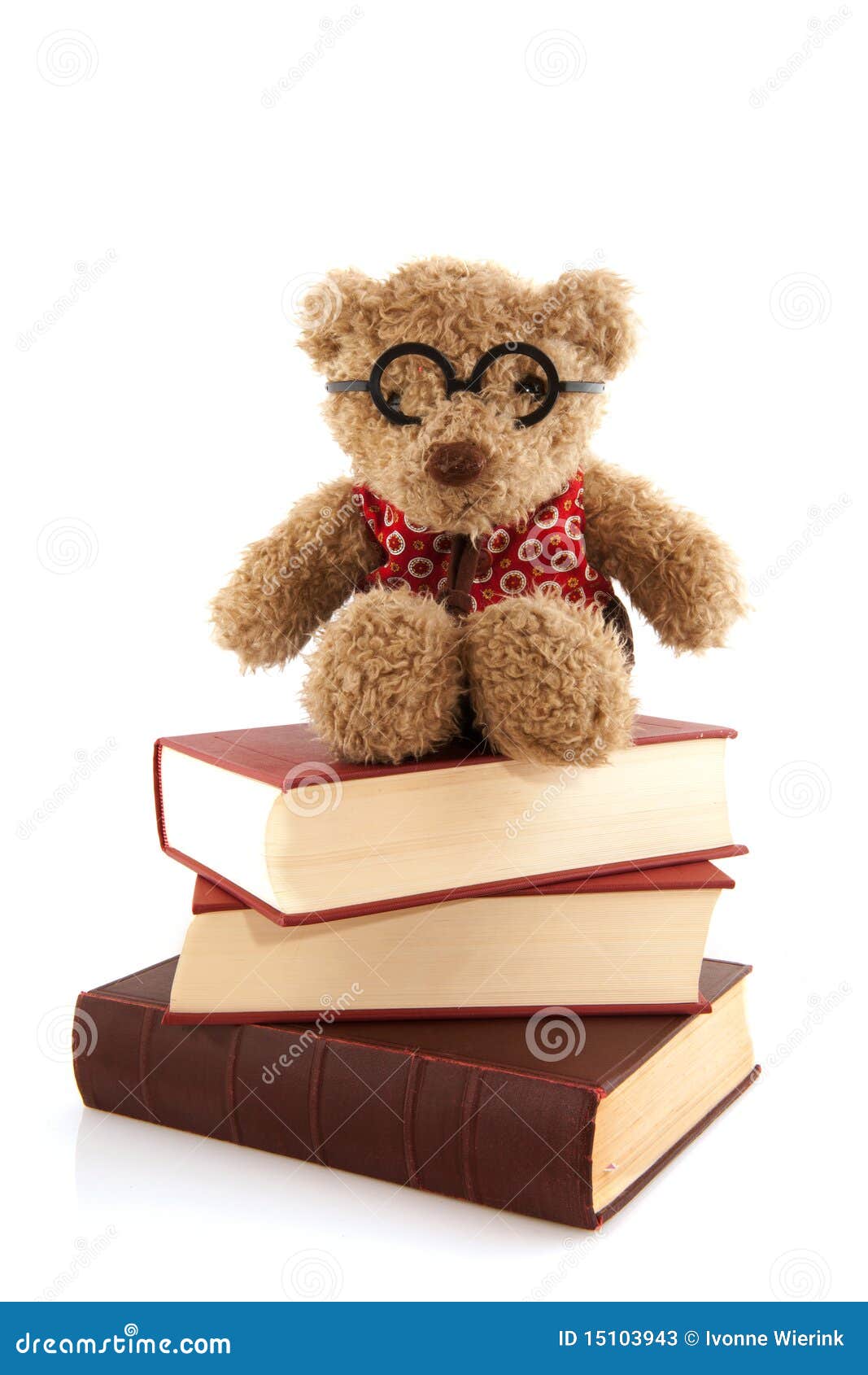 2,853 Bear Study Stock Photos - Free & Royalty-Free Stock Photos from ...