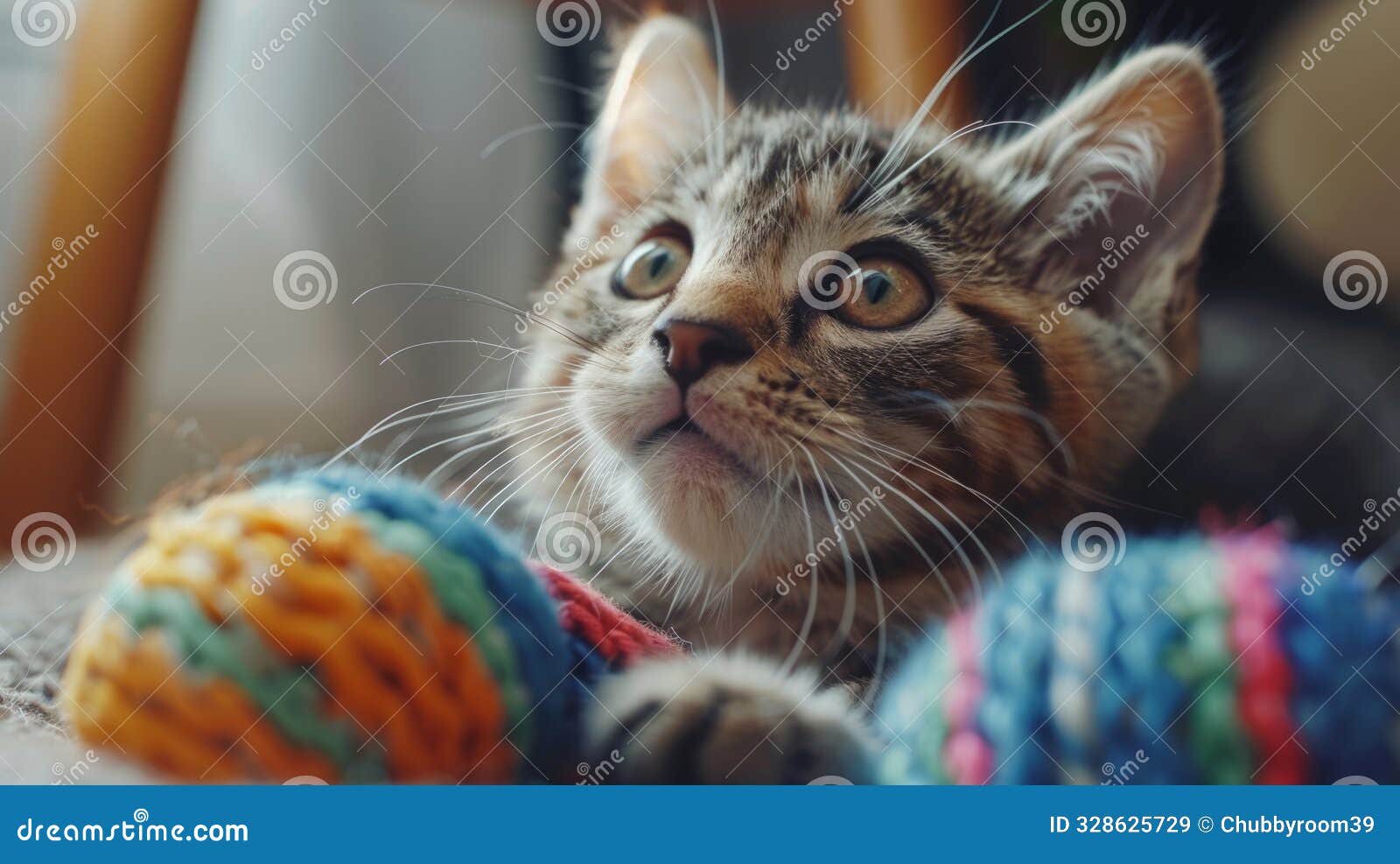 Study of the Behaviors and Actions Exhibited by Animals, Such As Cats ...