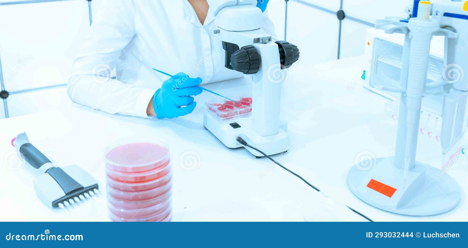 Study of Biological Interactions: Microscopy Allows Observing Interact ...