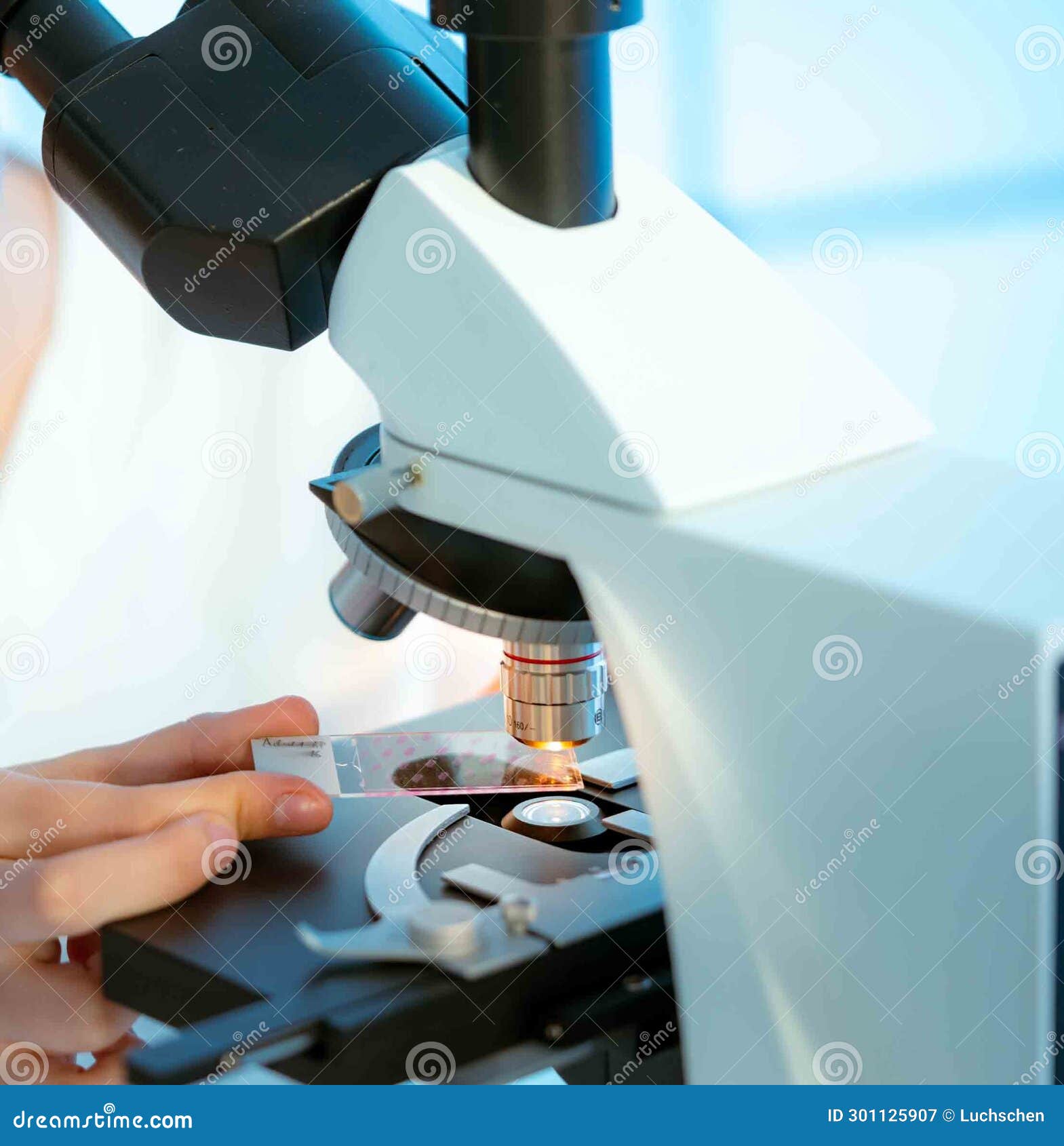 Study of Biological Interactions: Microscopy Allows Observing Interact ...