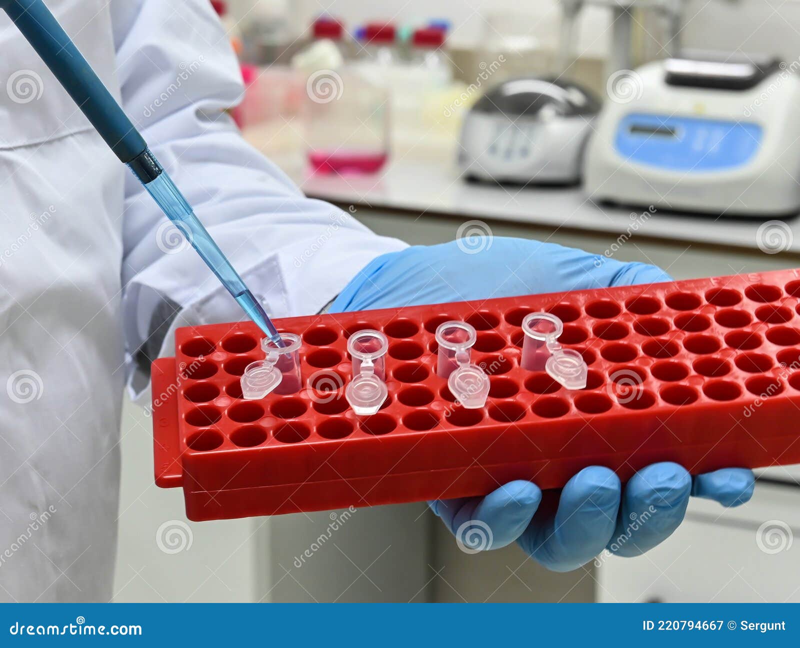 The Study of a Biological Sample in the Laboratory Stock Image - Image ...