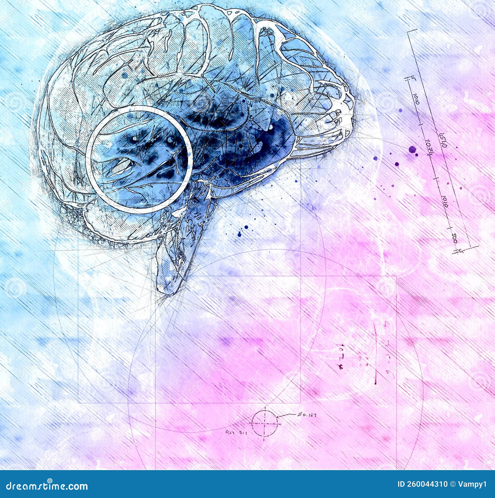 Study Brain, Drawing of Man in Profile with Brain. Potentiality of the ...
