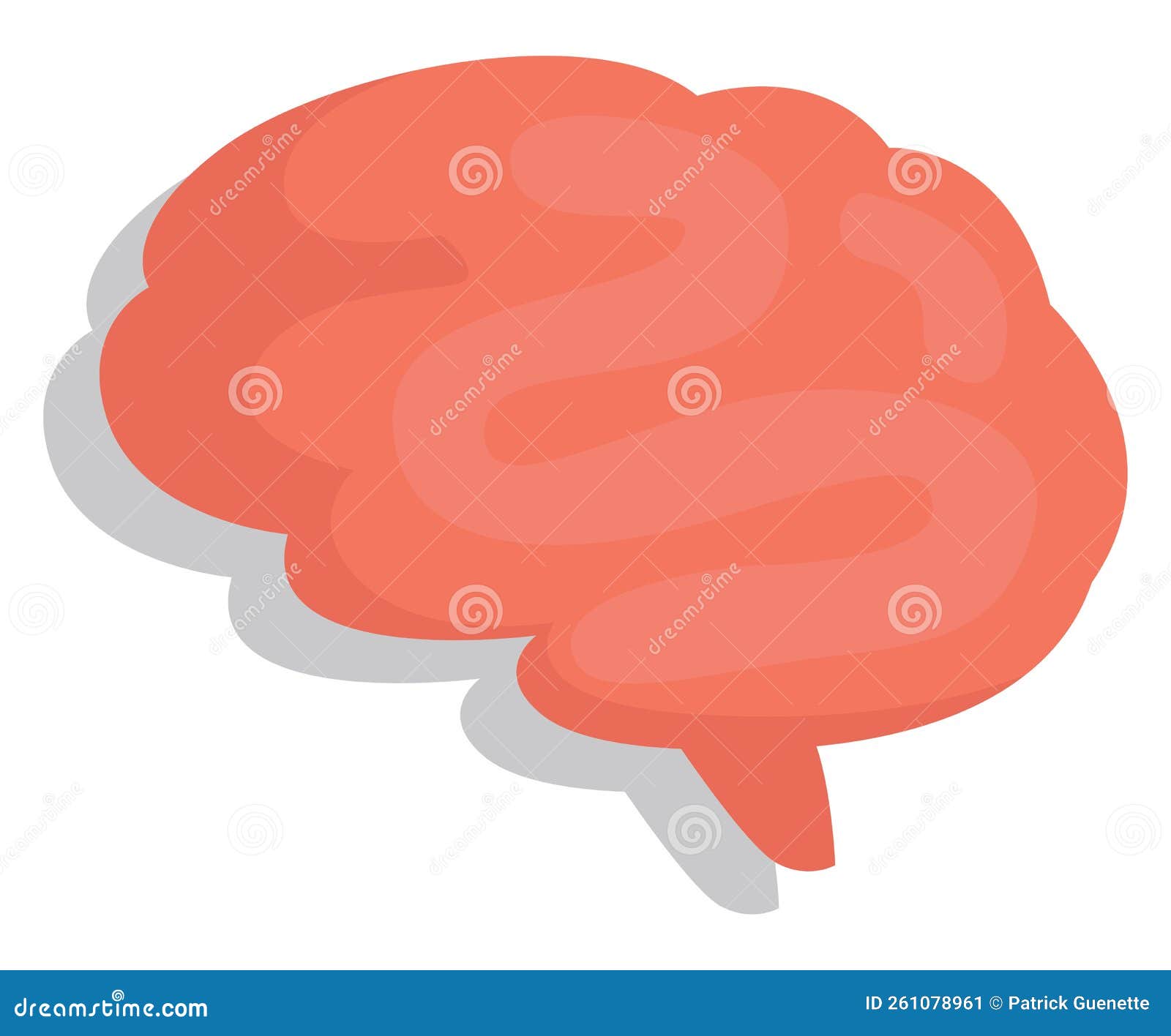 Study Brain, Drawing Of Man In Profile With Brain. Potentiality Of The ...