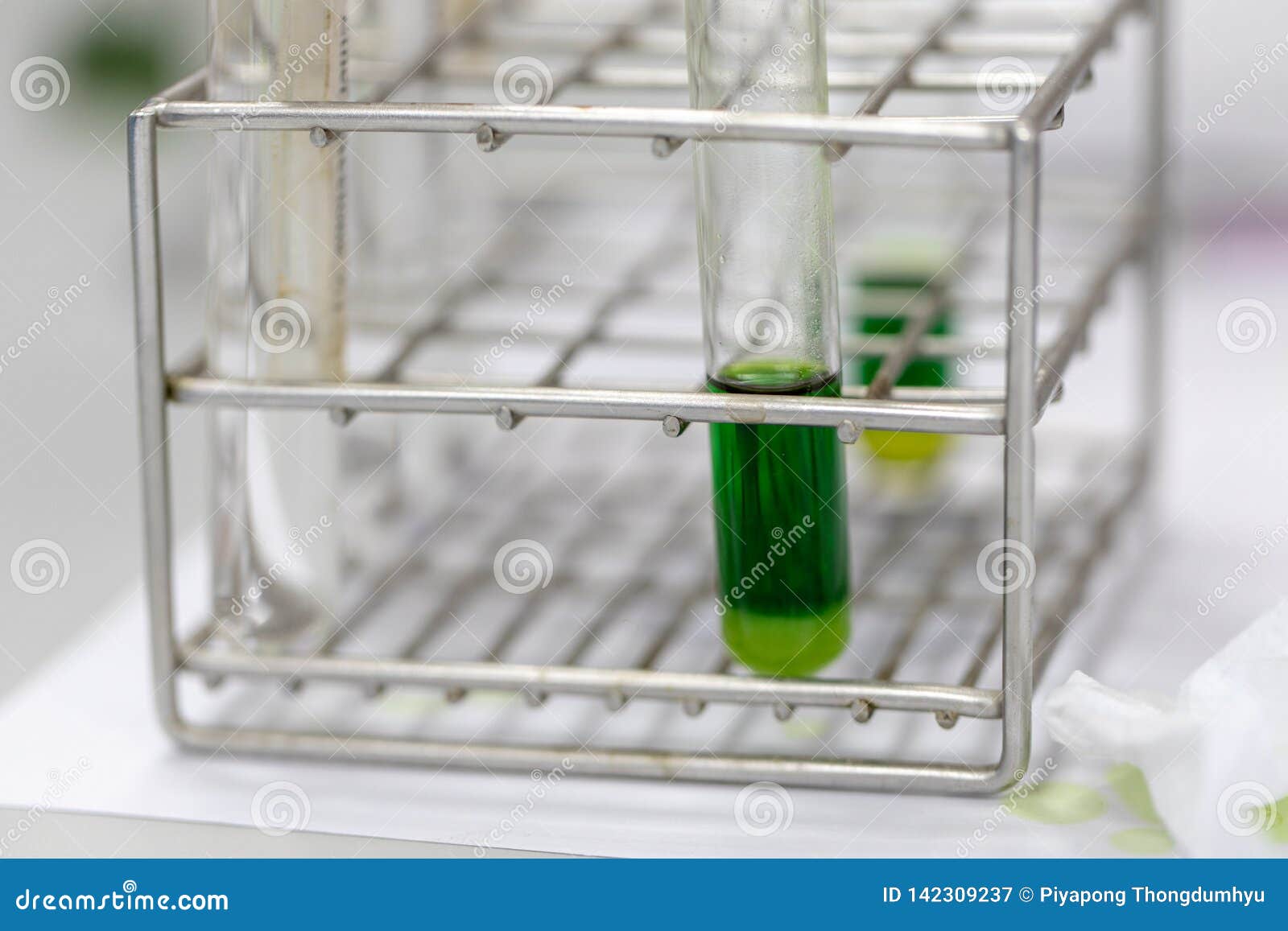 Chromatography is Used To Separate Components of a Plant. Stock Image ...