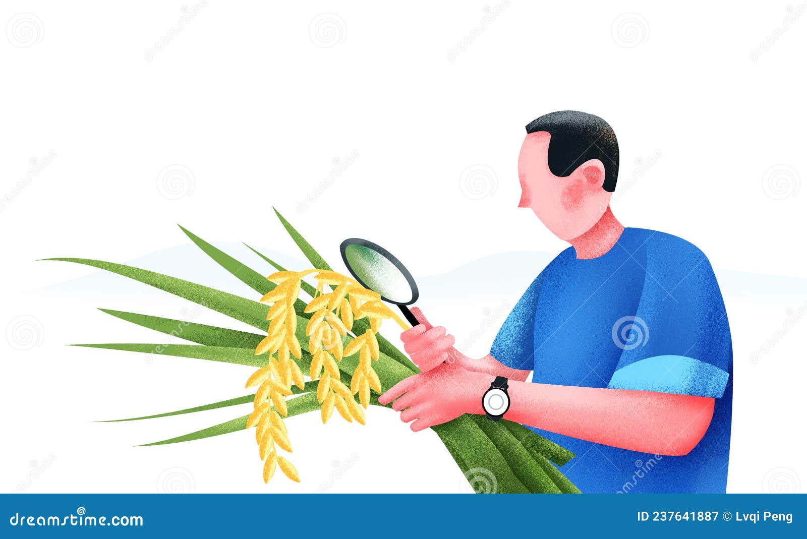 Hybrid Rice Stock Illustrations – 110 Hybrid Rice Stock Illustrations ...