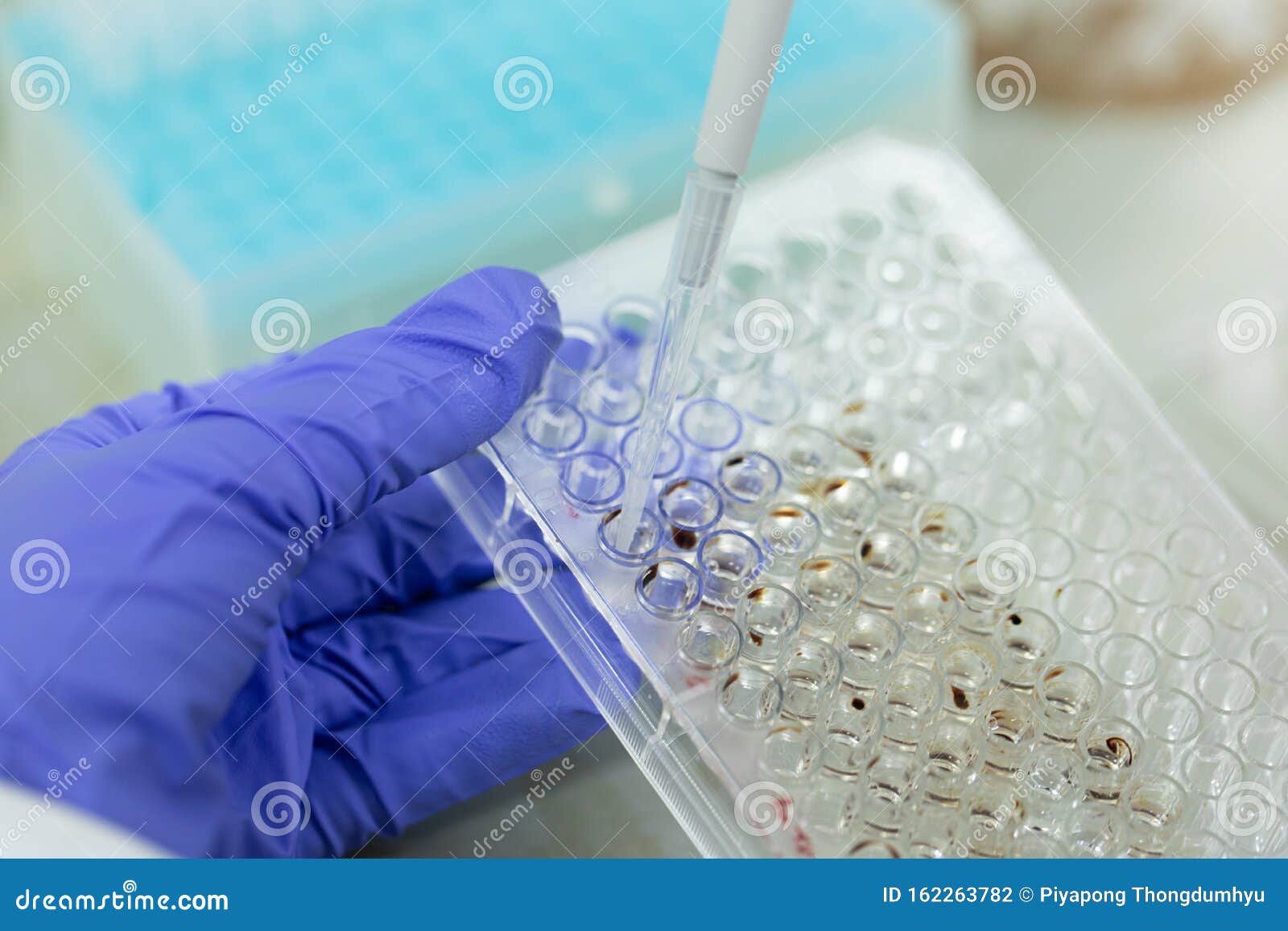 Study of Fish Blood Composition. Stock Photo - Image of composition ...