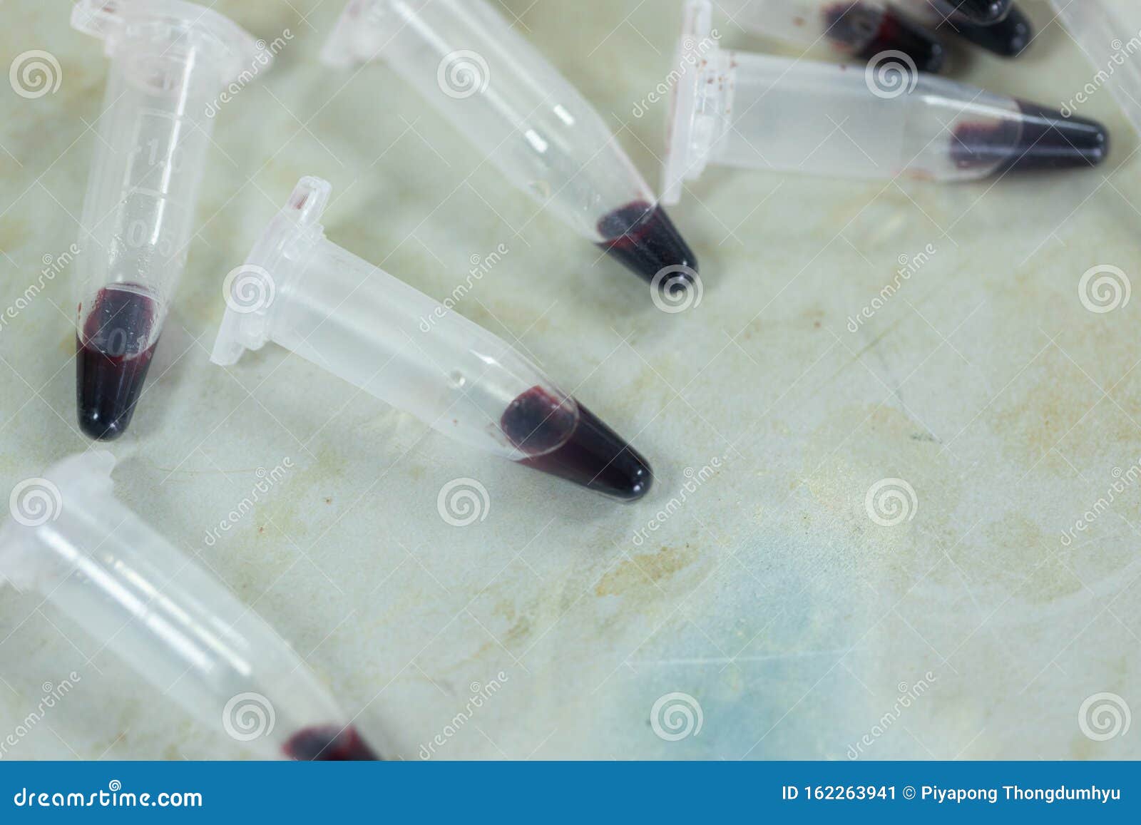 Study of Fish Blood Composition. Stock Image - Image of microplate ...