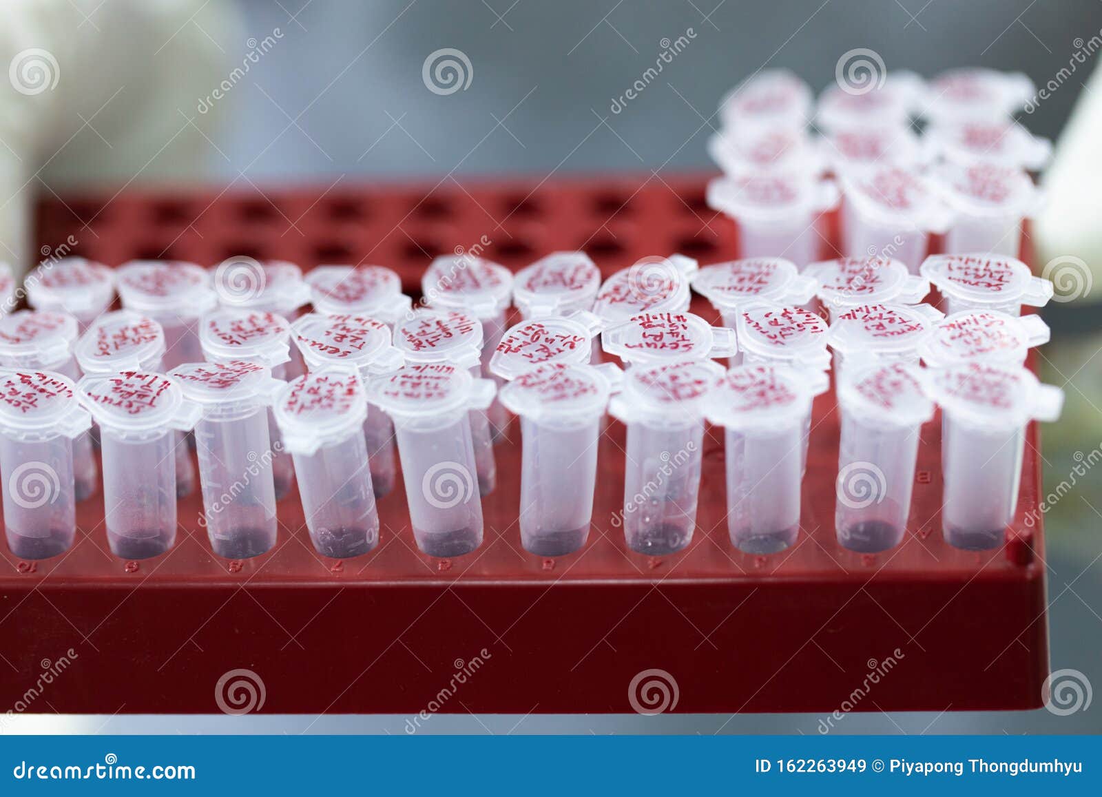 Study of Fish Blood Composition. Stock Image - Image of genetic ...