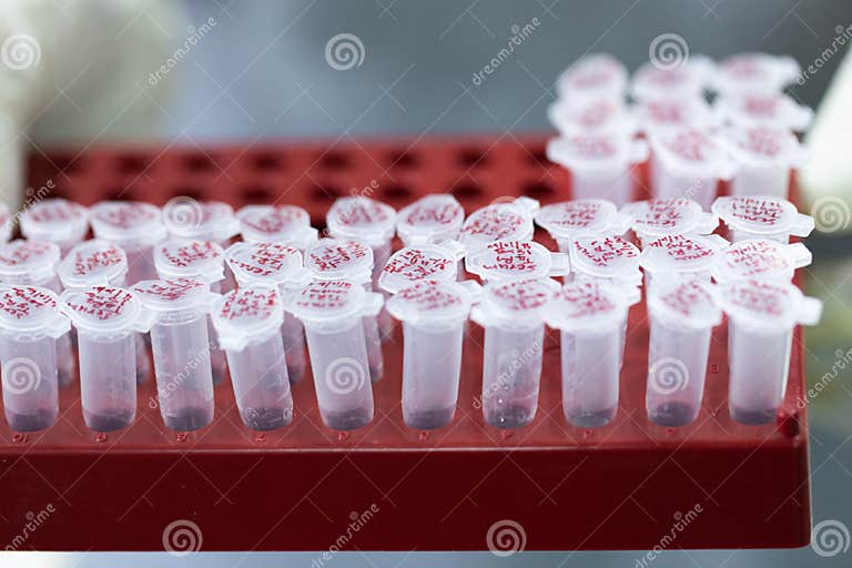 Study of Fish Blood Composition. Stock Image - Image of genetic ...