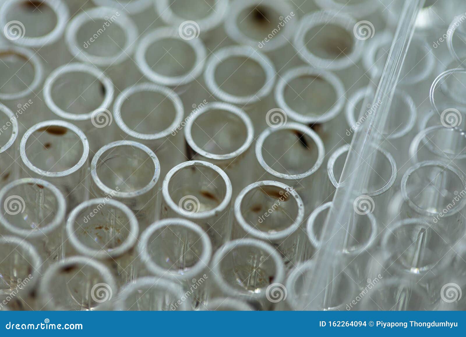 Study of Fish Blood Composition. Stock Photo - Image of cell, blood ...