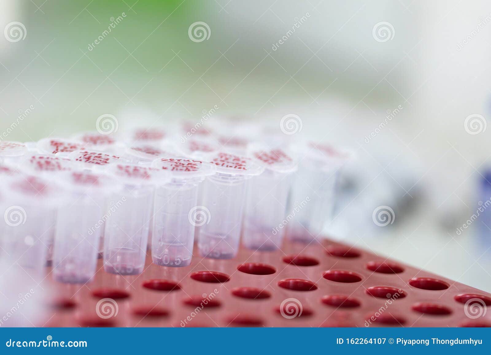 Study of Fish Blood Composition. Stock Image - Image of analyzing ...