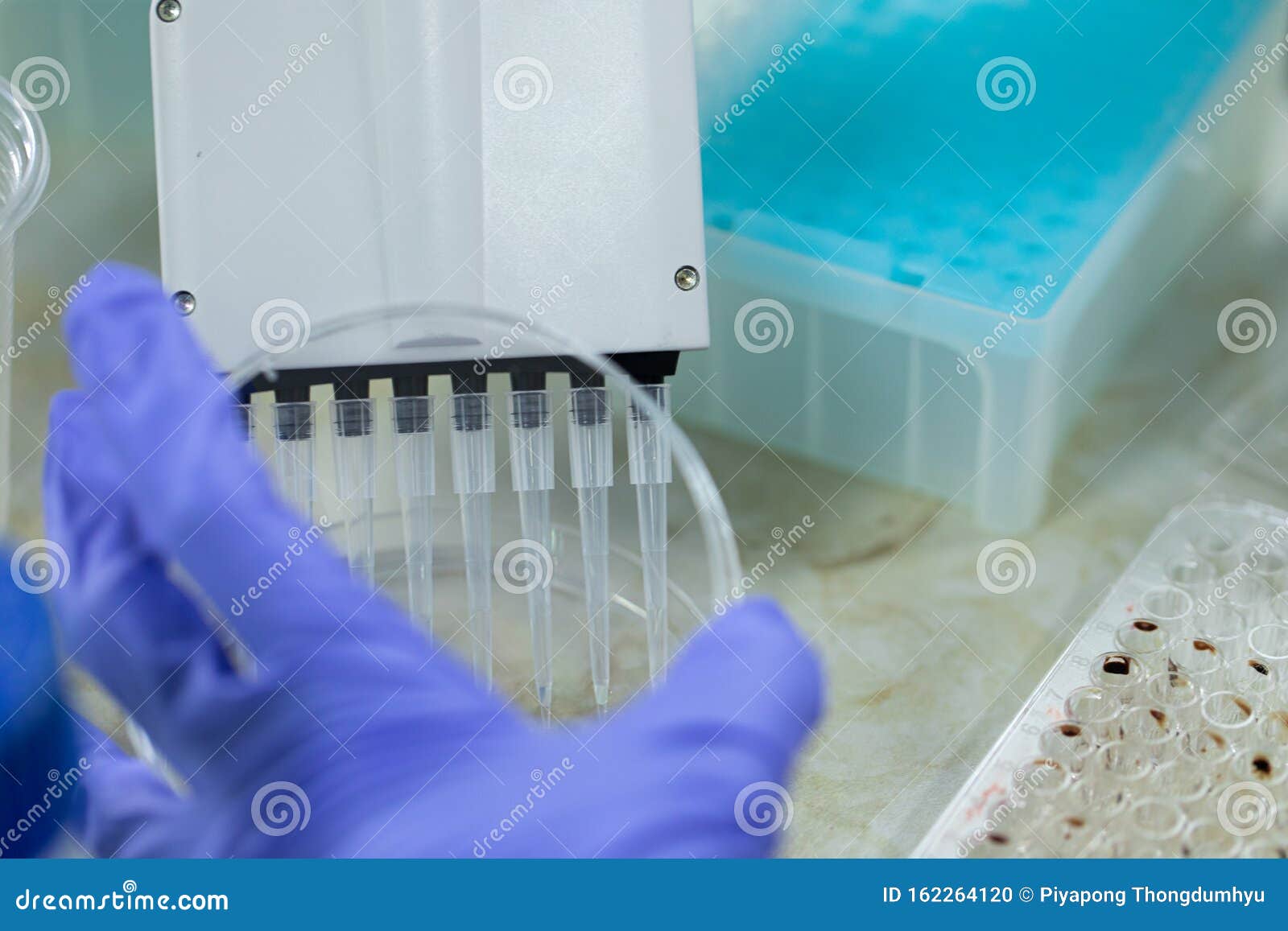 Study of Fish Blood Composition. Stock Photo - Image of multi, disease ...