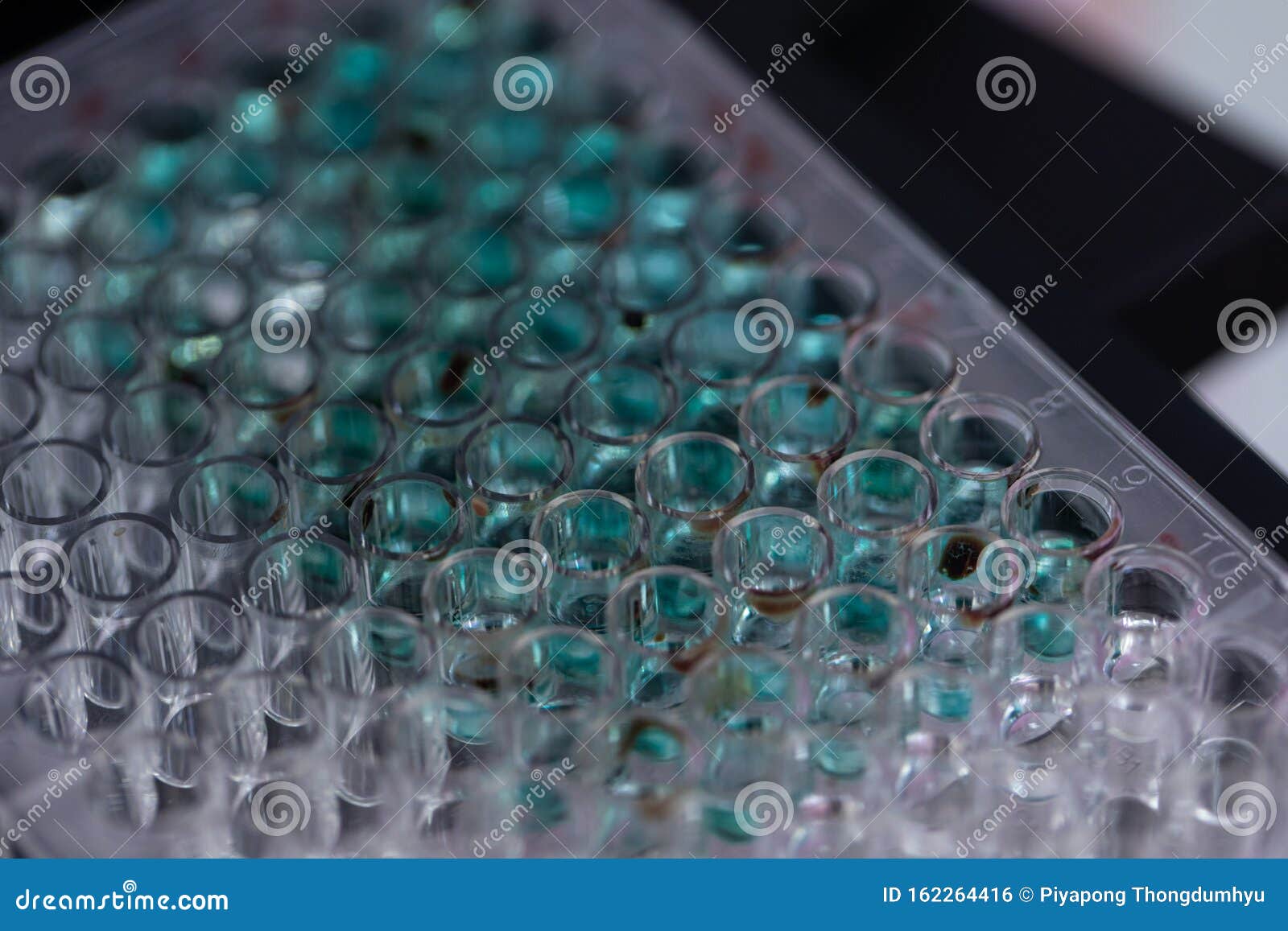 Study of Fish Blood Composition. Stock Photo - Image of biology ...