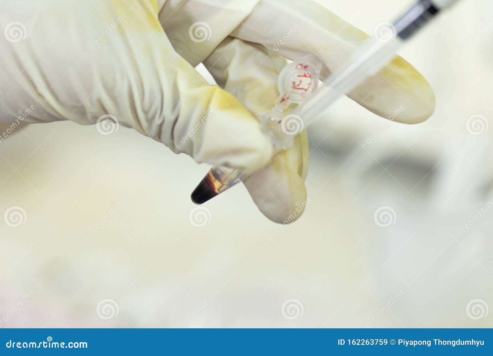 Study of Fish Blood Composition. Stock Image - Image of analysis ...