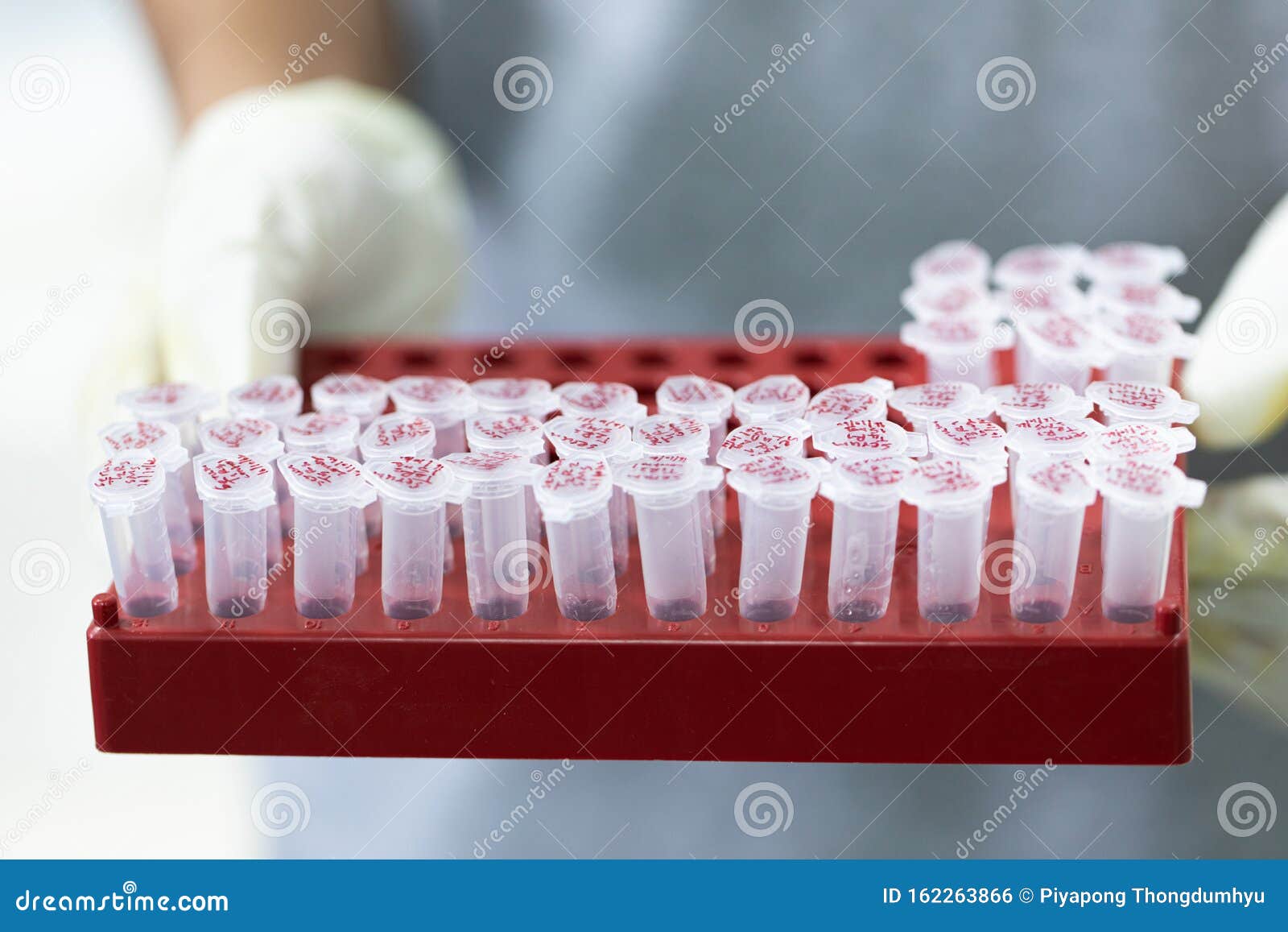 Study of Fish Blood Composition. Stock Photo - Image of biotechnology ...