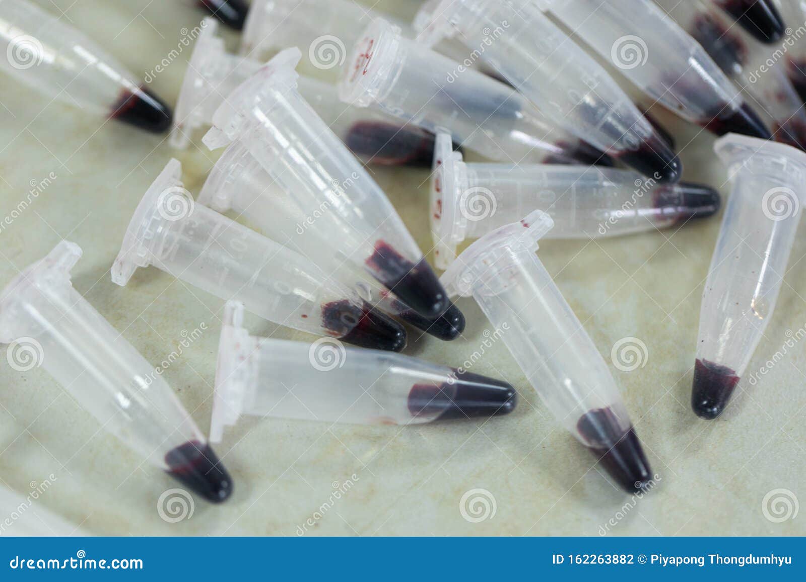Study of Fish Blood Composition. Stock Photo - Image of chemical ...