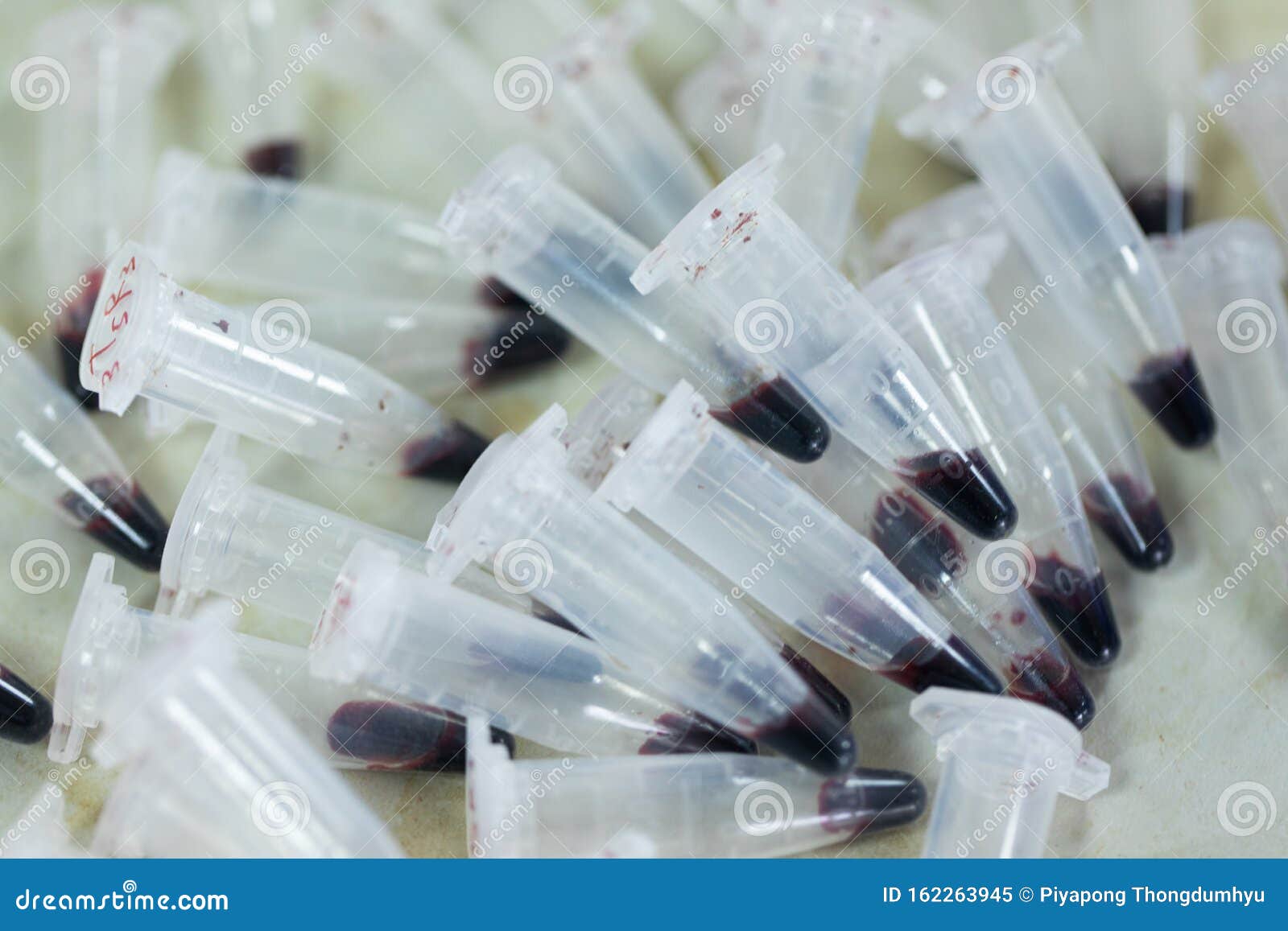 Study of Fish Blood Composition. Stock Image - Image of measurement ...