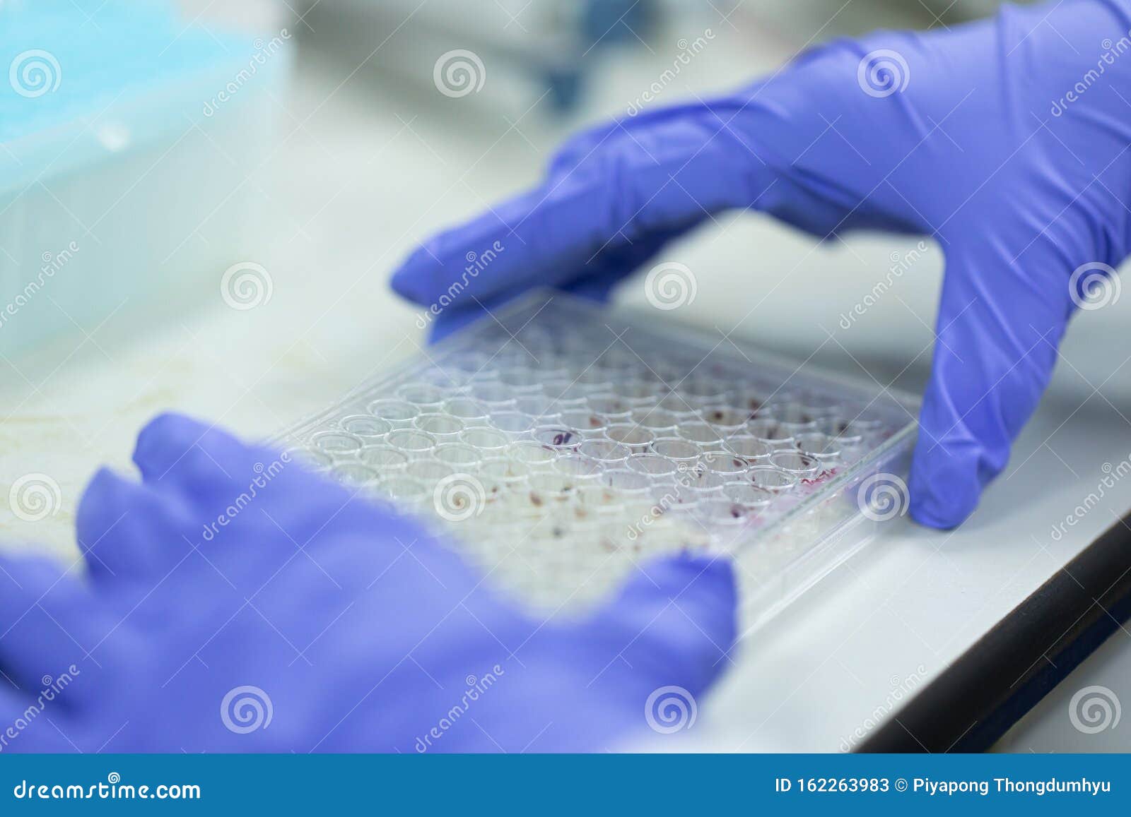 Study of Fish Blood Composition. Stock Image - Image of medical ...