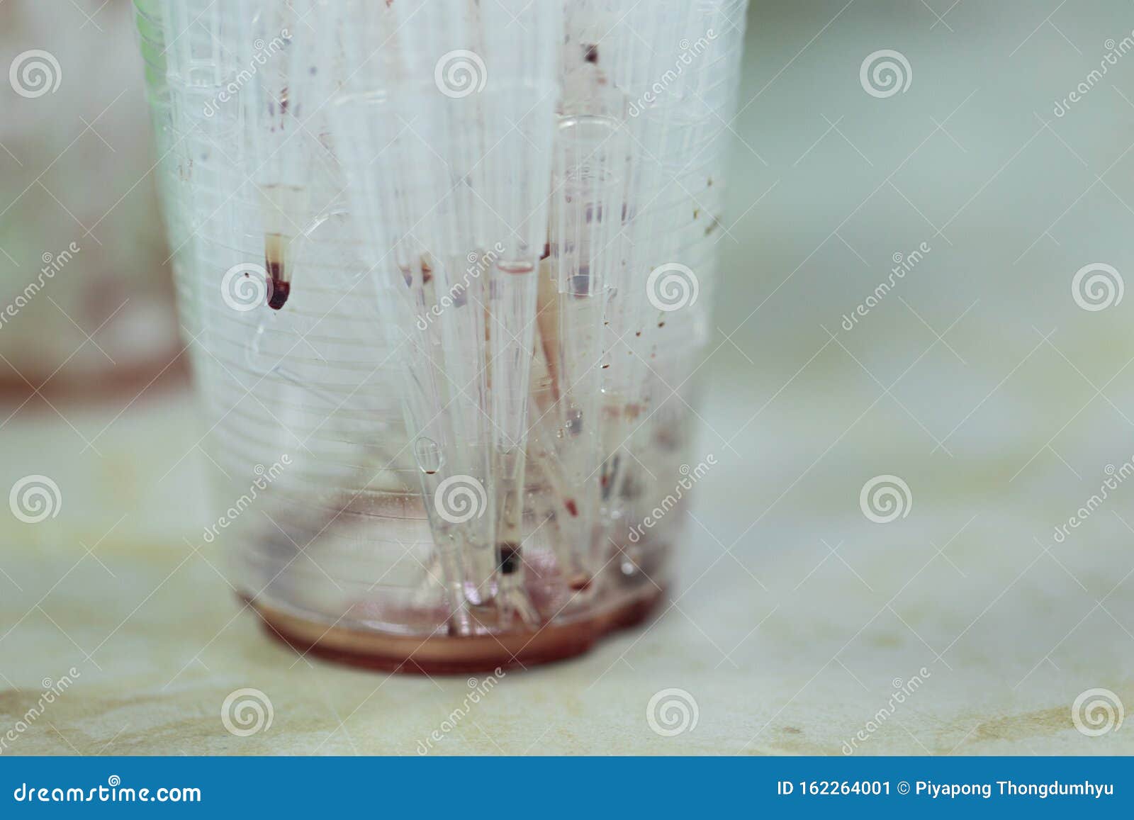 Study of Fish Blood Composition. Stock Image - Image of assay, elisa ...