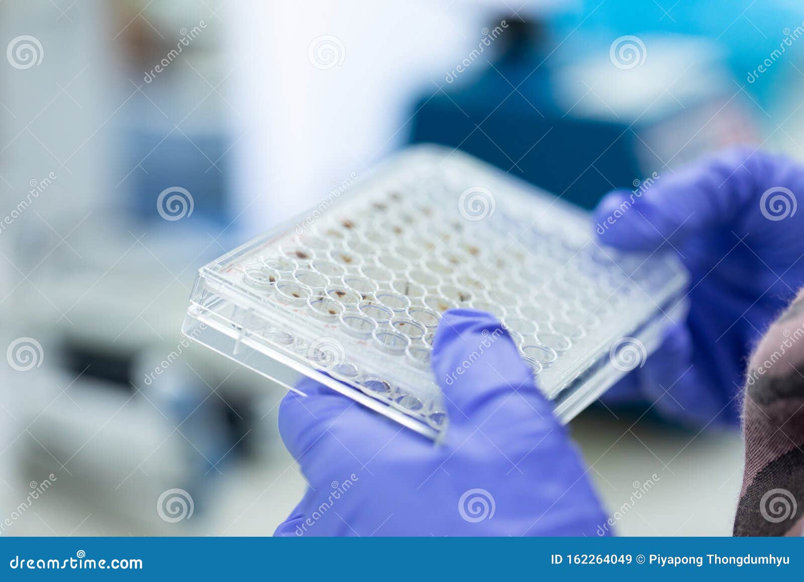 Study of Fish Blood Composition. Stock Image - Image of assay ...