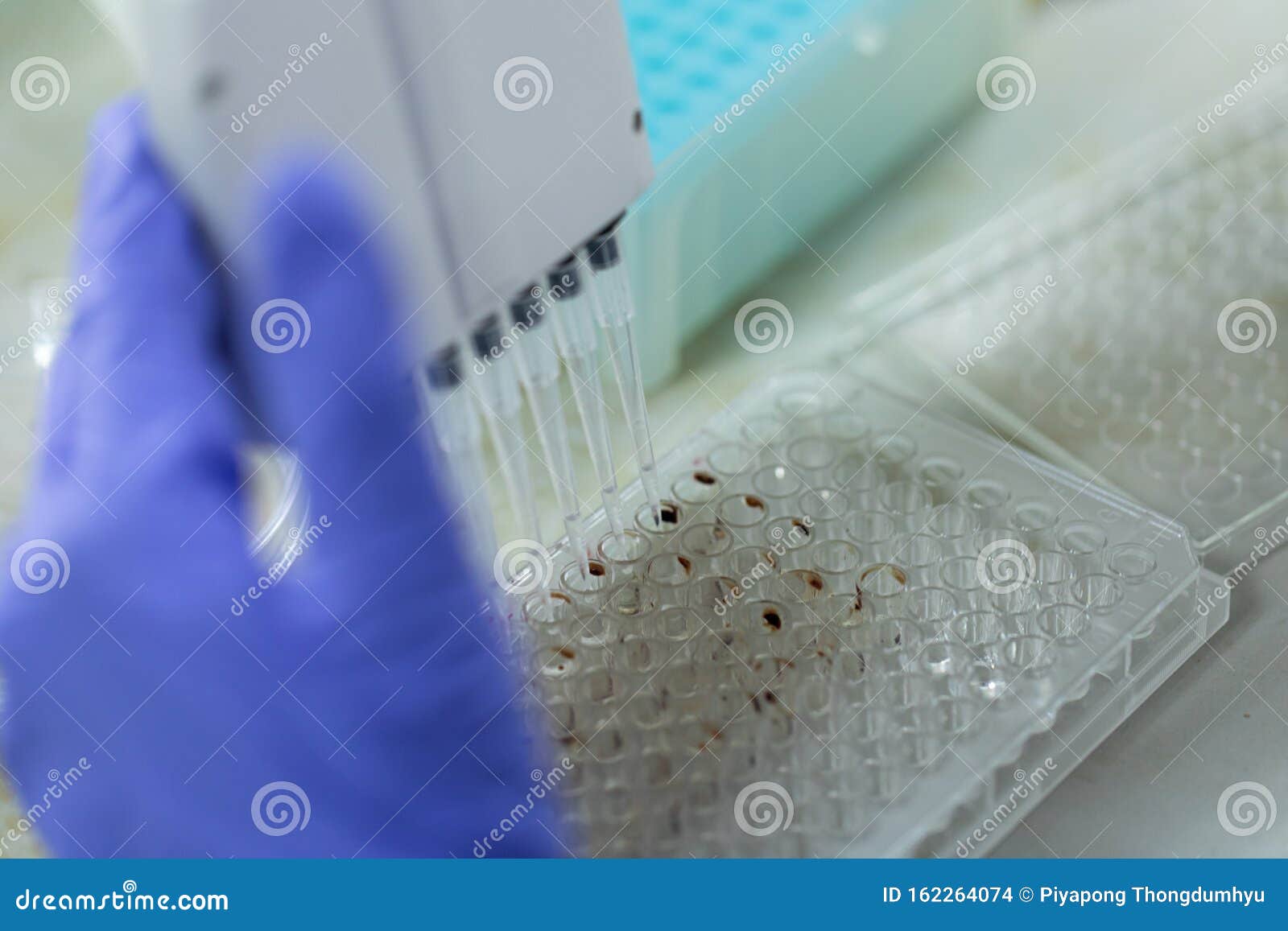 Study of Fish Blood Composition. Stock Photo - Image of medical ...