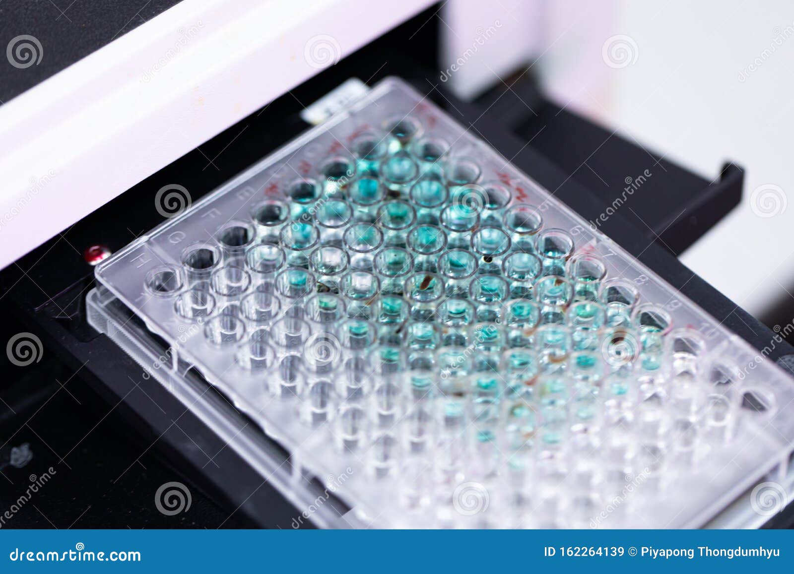 Study of Fish Blood Composition. Stock Image - Image of laboratory ...