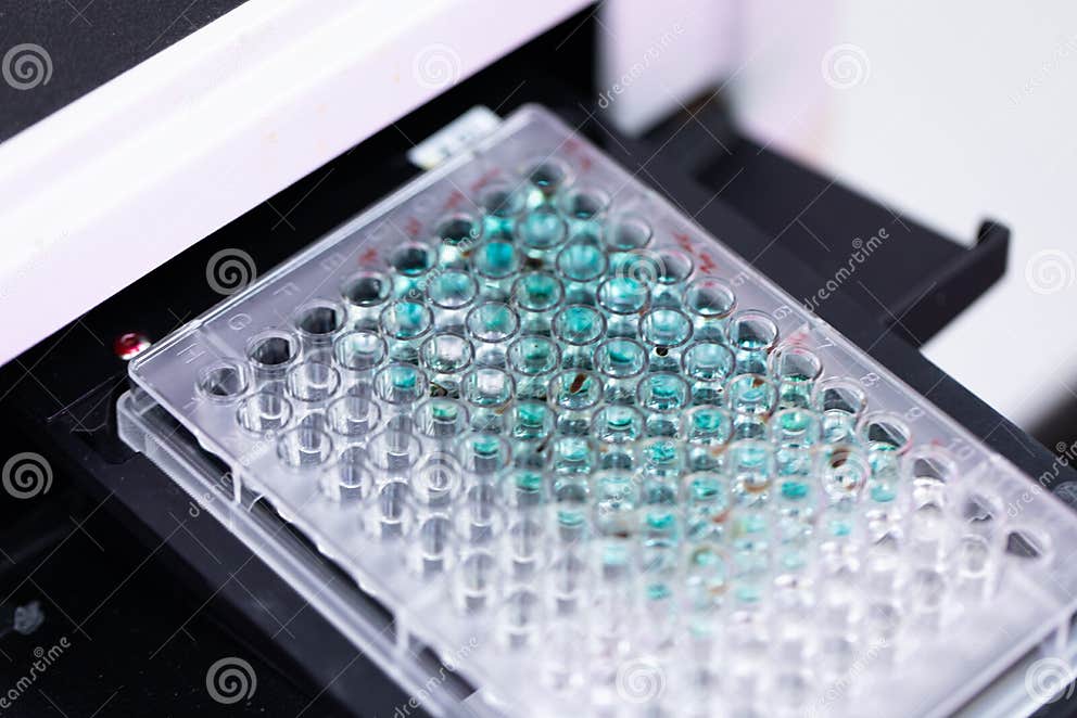 Study of Fish Blood Composition. Stock Image - Image of laboratory ...