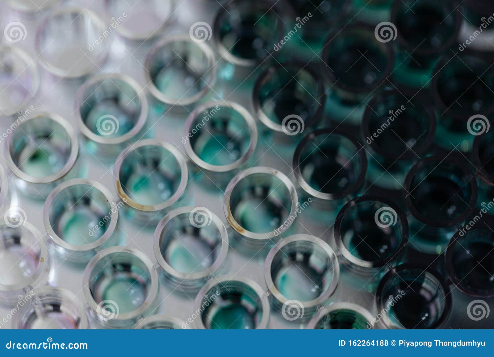 Study of Fish Blood Composition. Stock Photo - Image of measurement ...