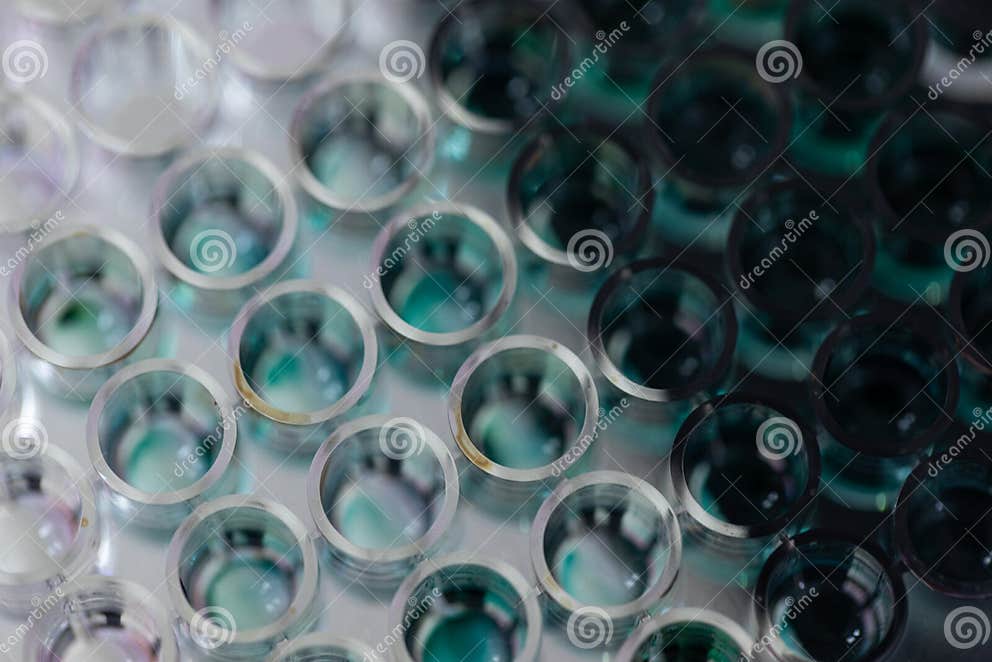Study of Fish Blood Composition. Stock Photo - Image of measurement ...