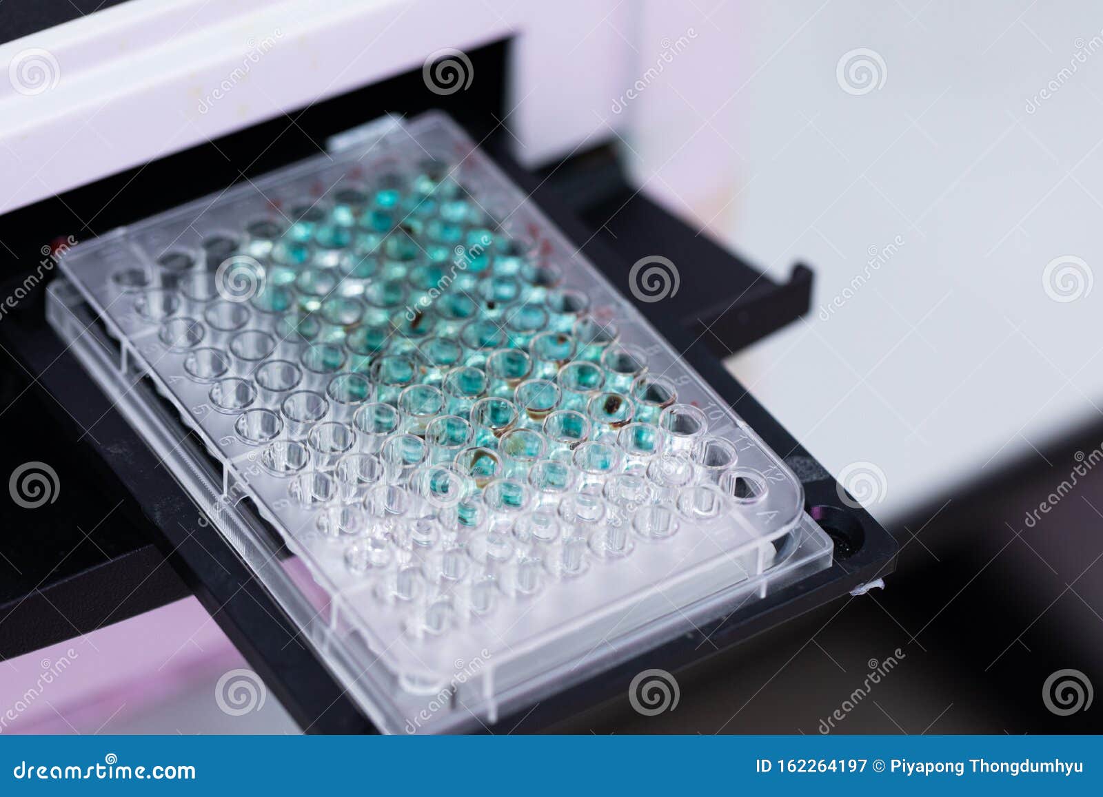 Study of Fish Blood Composition. Stock Image - Image of micropipette ...