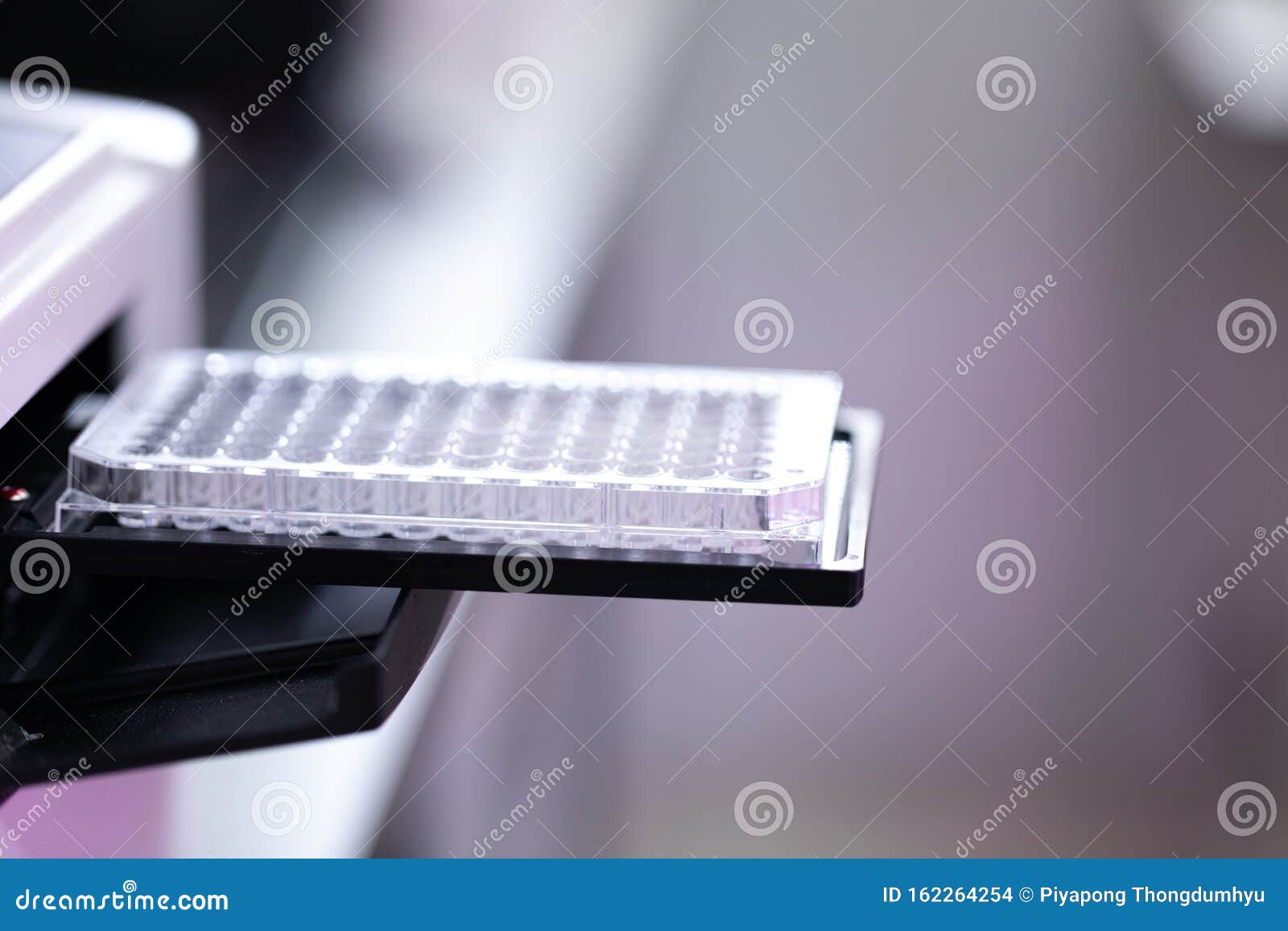 Study of Fish Blood Composition. Stock Photo - Image of biology ...
