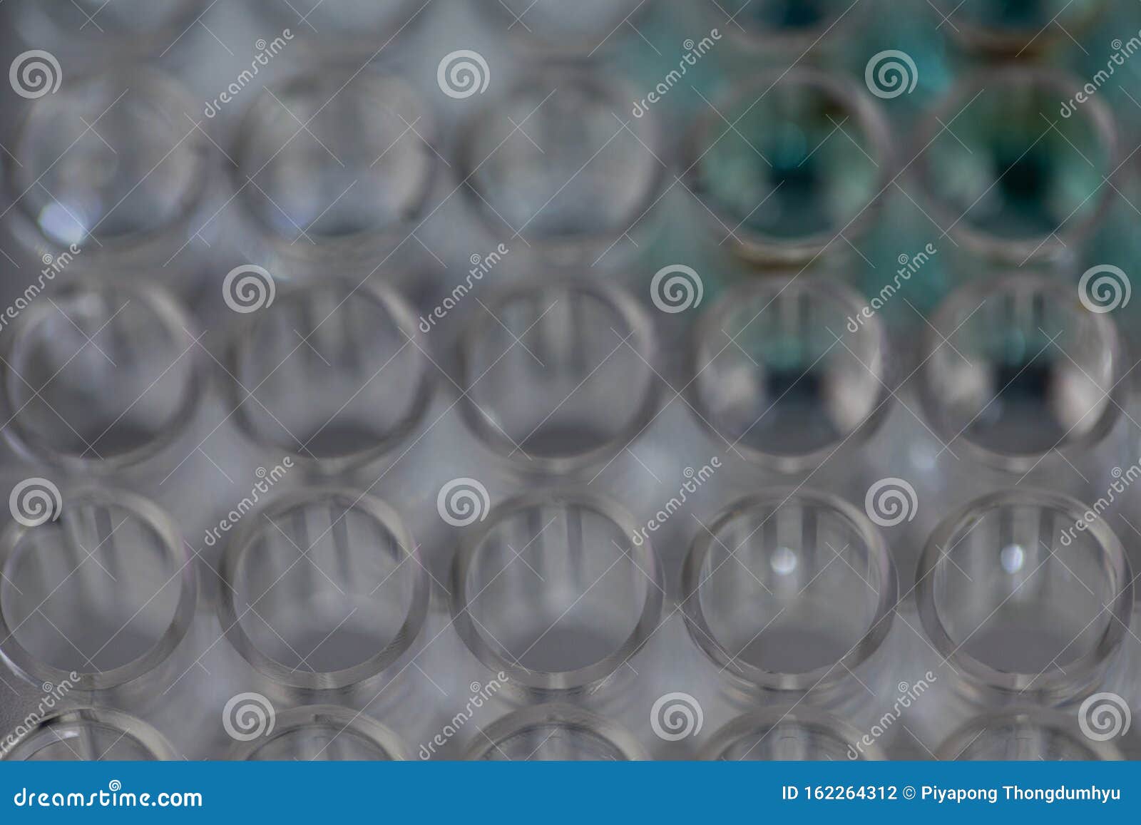 Study of Fish Blood Composition. Stock Photo - Image of immunology ...