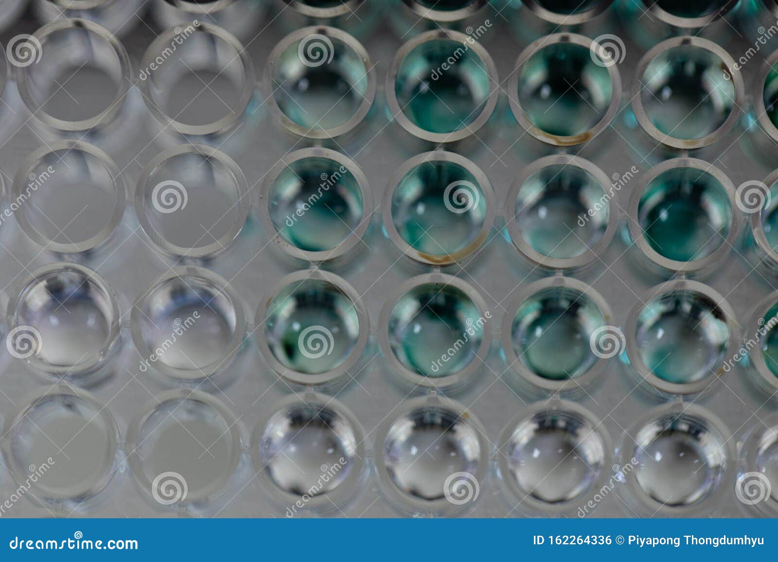 Study of Fish Blood Composition. Stock Photo - Image of composition ...