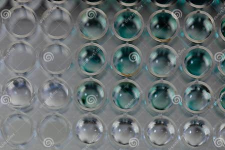 Study of Fish Blood Composition. Stock Photo - Image of composition ...