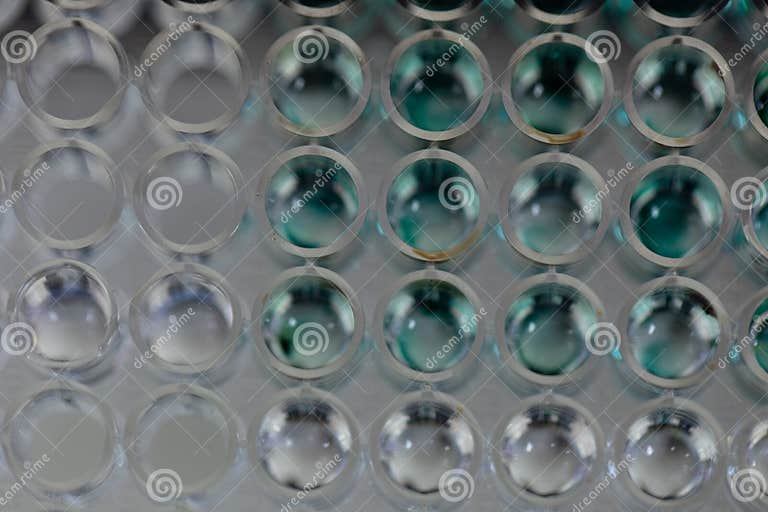 Study of Fish Blood Composition. Stock Photo - Image of composition ...