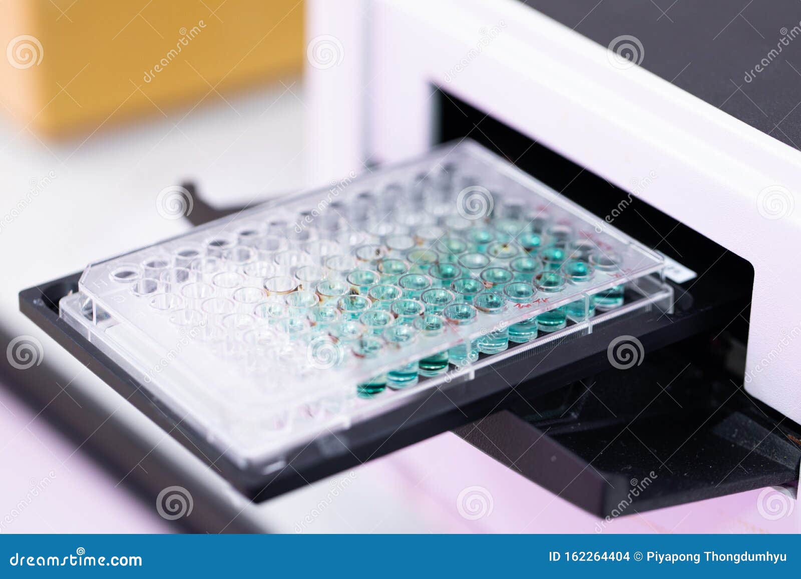 Study of Fish Blood Composition. Stock Photo - Image of micropipette ...