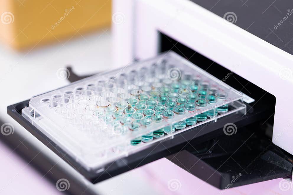 Study of Fish Blood Composition. Stock Photo - Image of micropipette ...