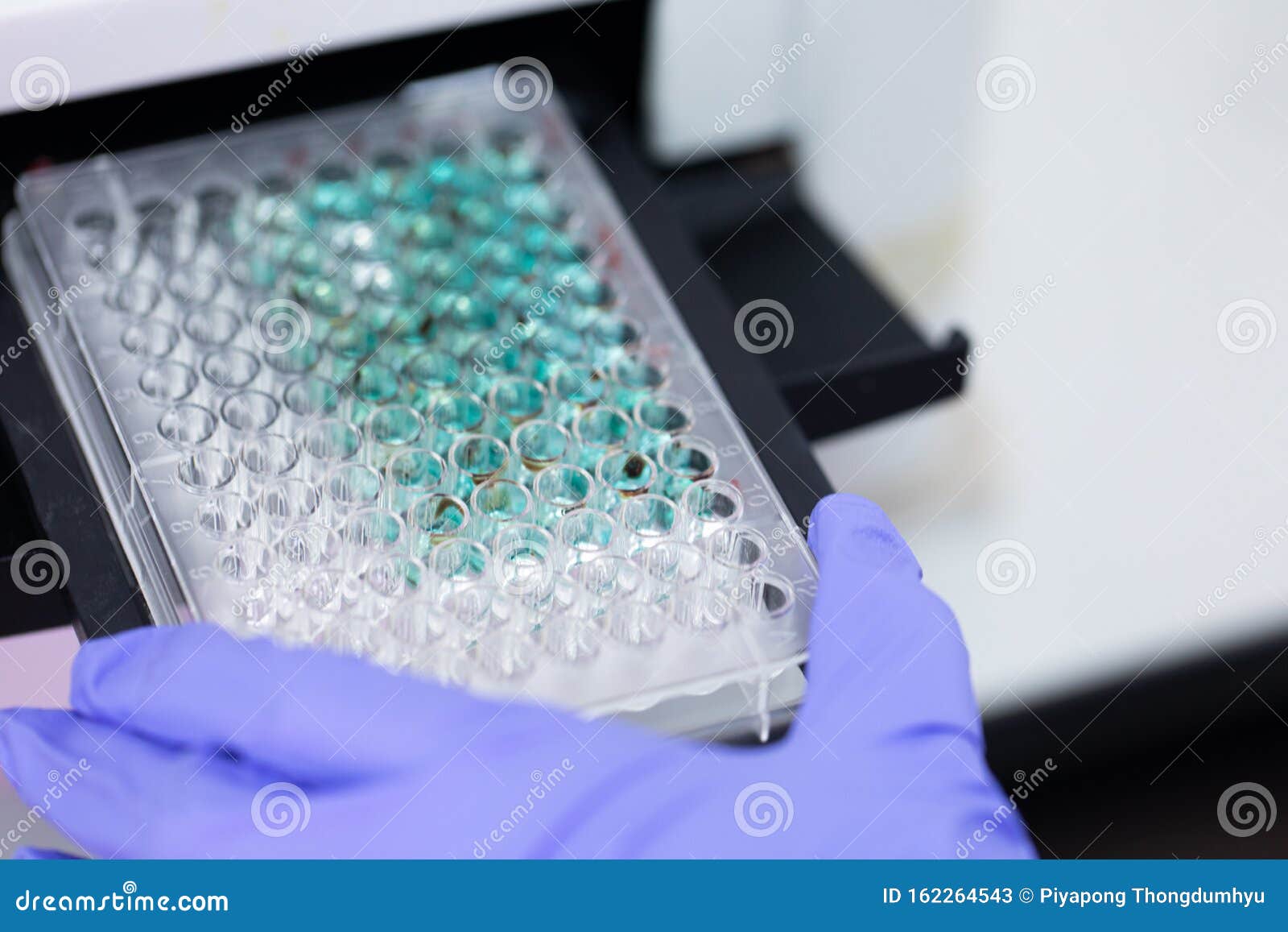 Study of Fish Blood Composition. Stock Image - Image of microplate ...