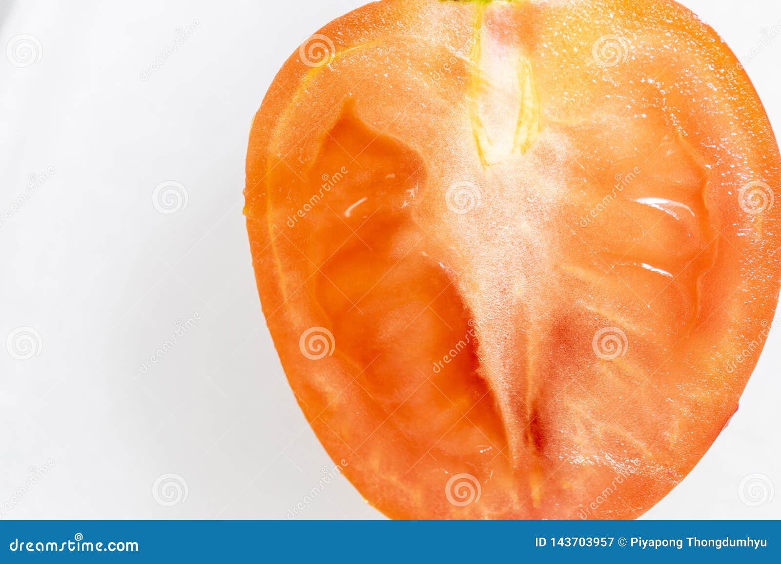 Study of Flowering and Fruit Structures. Stock Image - Image of ...