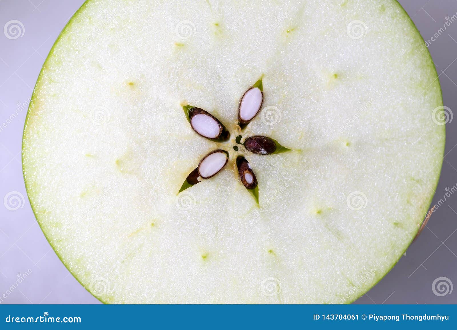 Study of Flowering and Fruit Structures. Stock Image - Image of ...
