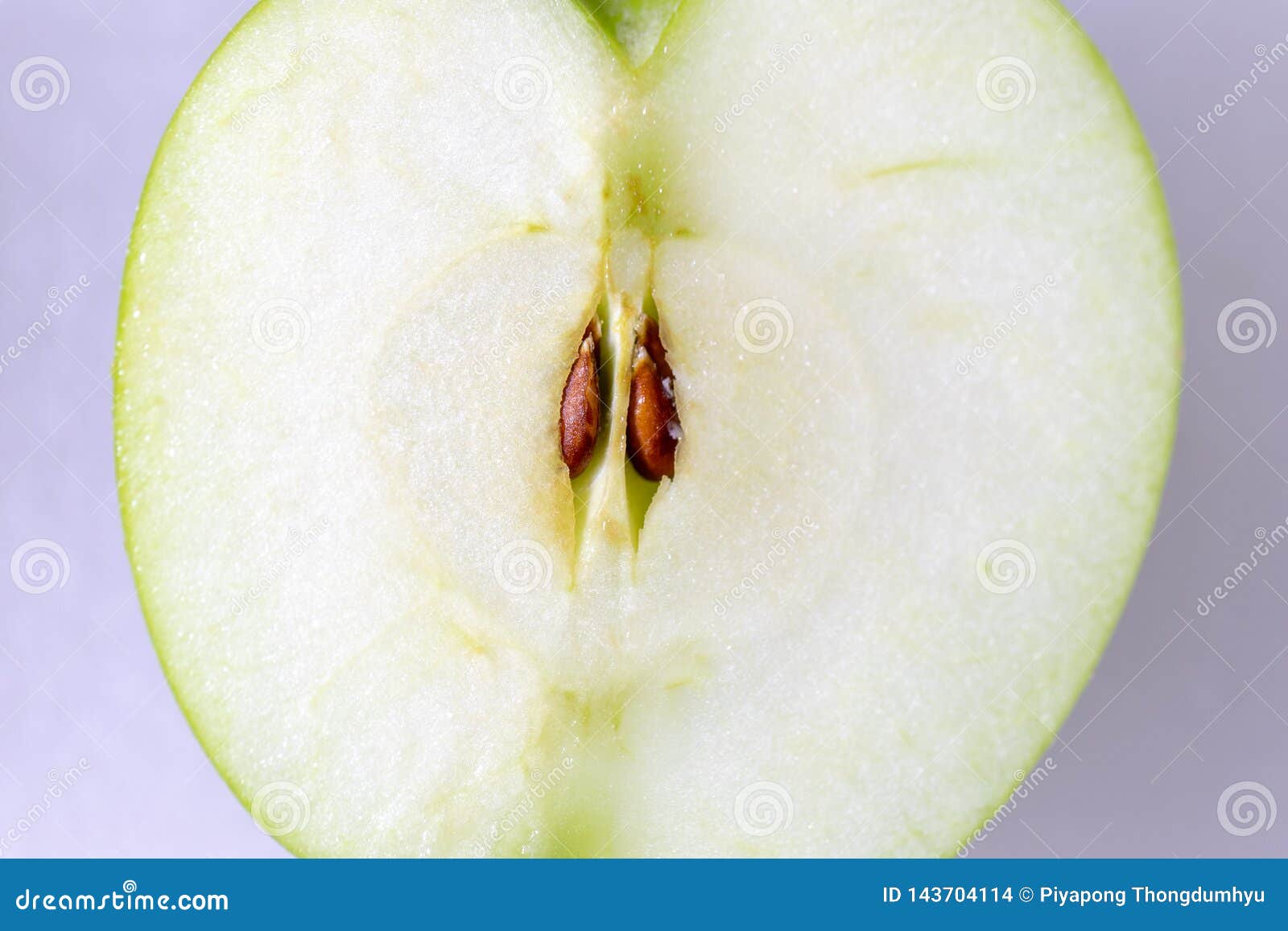 Study of Flowering and Fruit Structures. Stock Photo - Image of ...