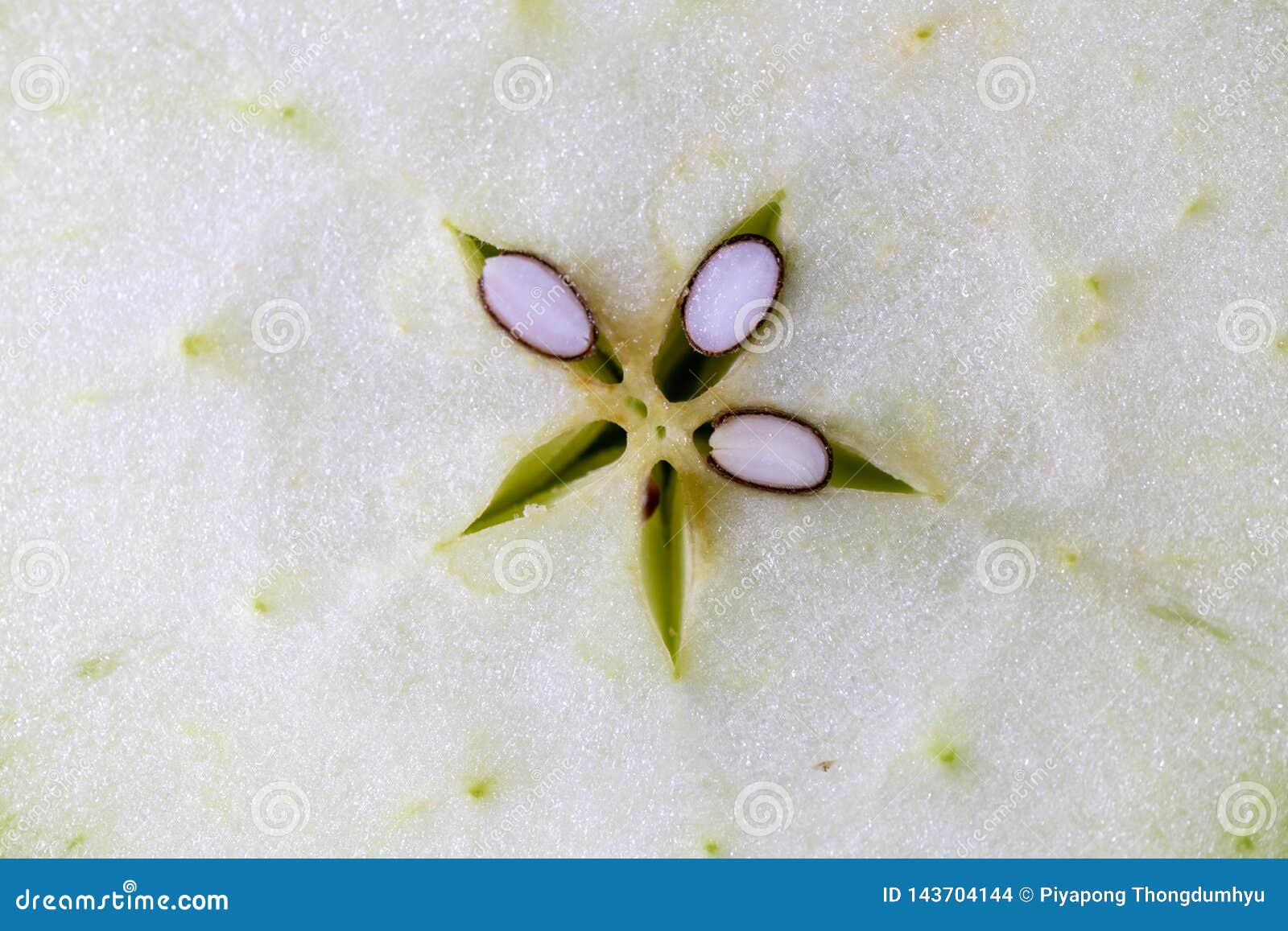 Study of Flowering and Fruit Structures. Stock Photo - Image of based ...