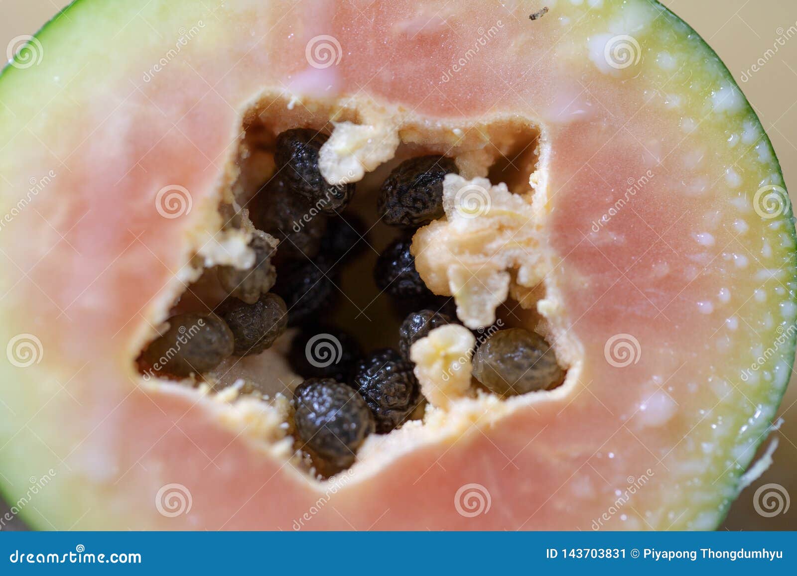 Study of Flowering and Fruit Structures. Stock Image - Image of fruits ...