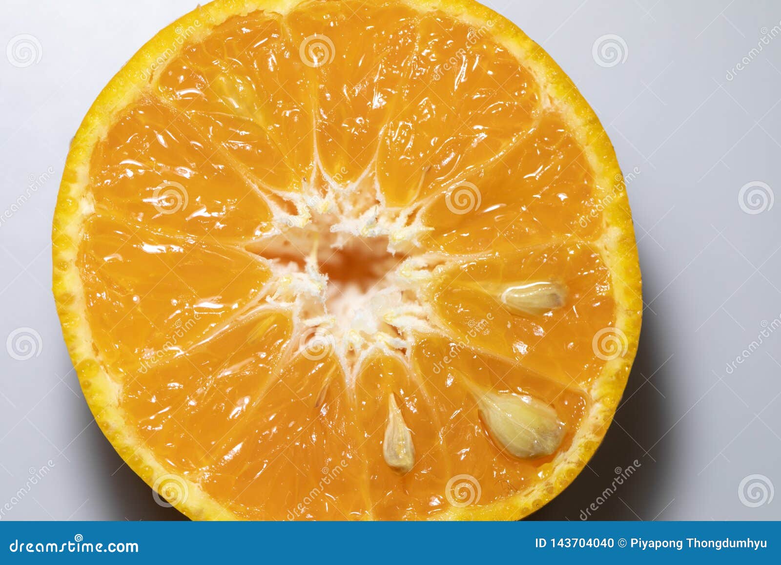 Study of Flowering and Fruit Structures. Stock Photo - Image of based ...